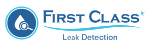 Why Non-Invasive Leak Detection Saves You Money – First Class Leak ...